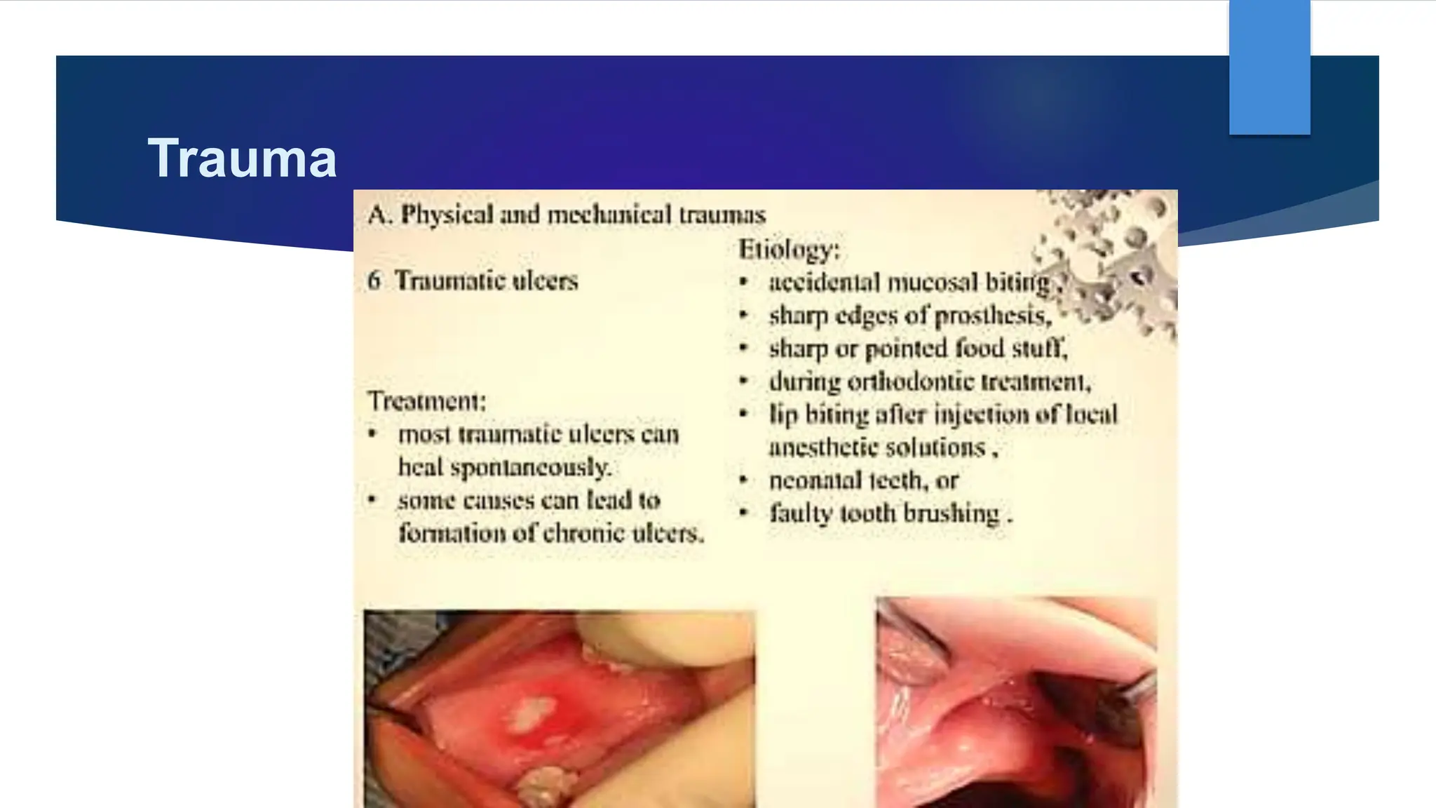 Gross Anatomy and Histology of Tongue by Dr. Rabia Inam Gandapore.pptx ...