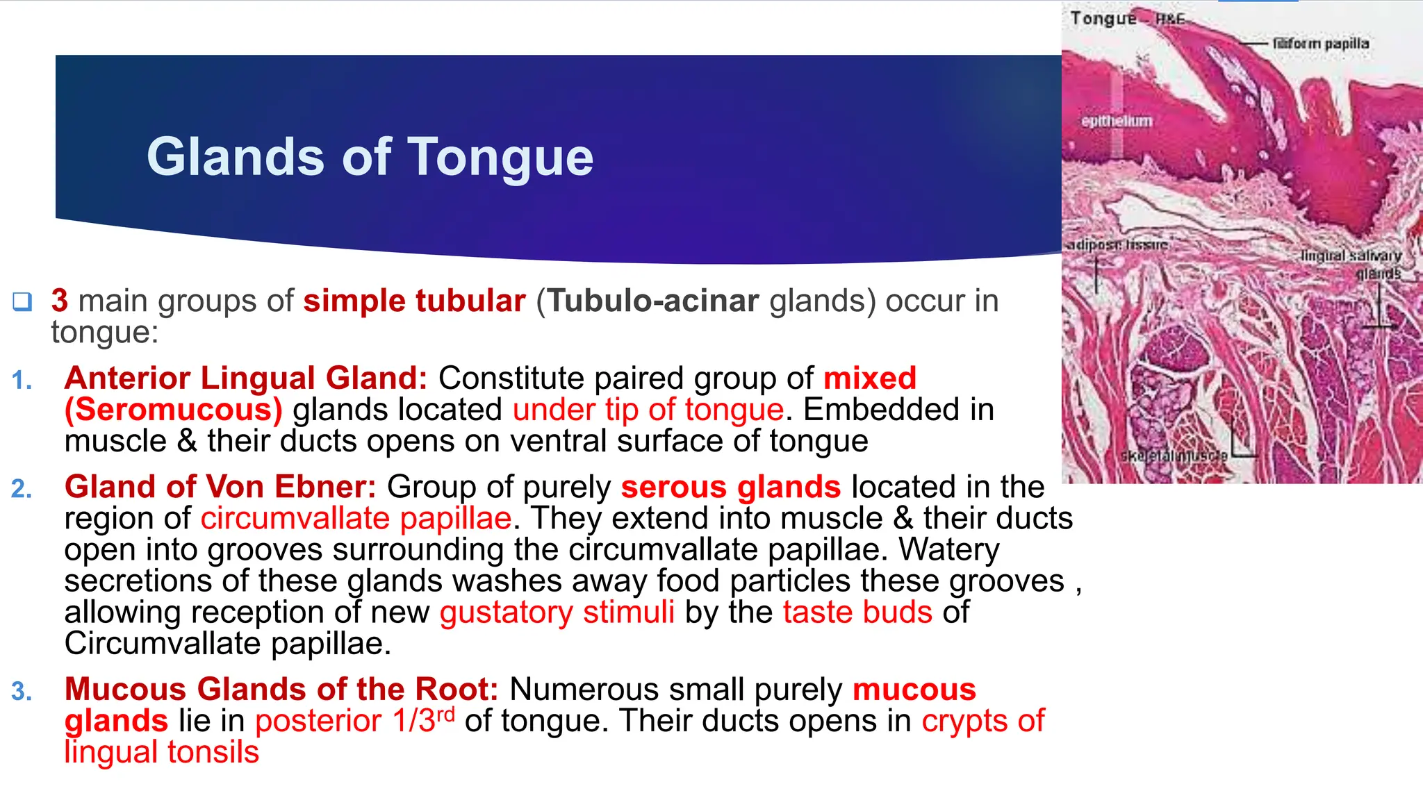 Gross Anatomy and Histology of Tongue by Dr. Rabia Inam Gandapore.pptx