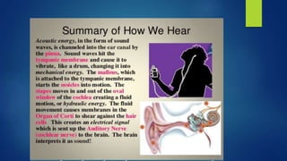 Gross Anatomy and physiology of the ear.pptx