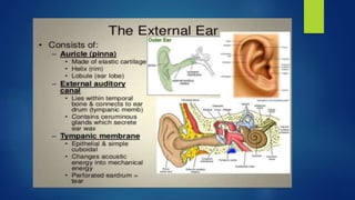 Gross Anatomy and physiology of the ear.pptx