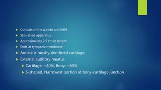 Gross Anatomy and physiology of the ear.pptx