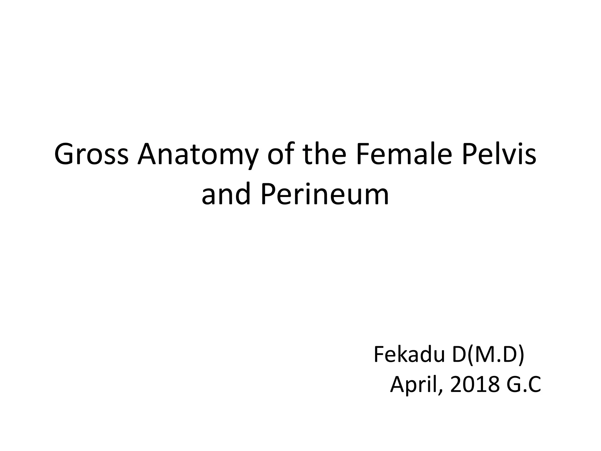 Gross anatomy for anesthesia | PPTX