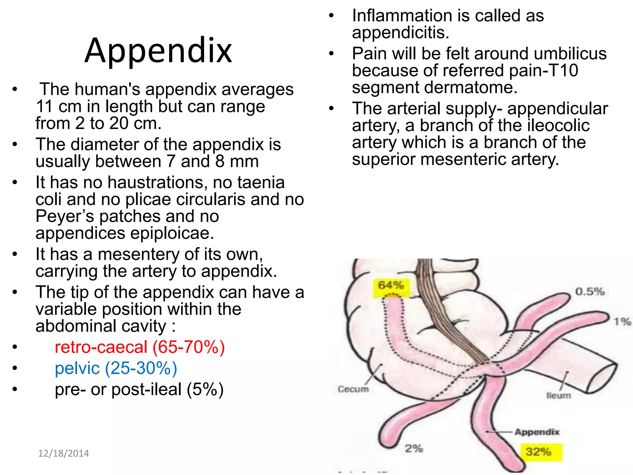 Gross anatomy & histology of ileum, jejunum | PPTX