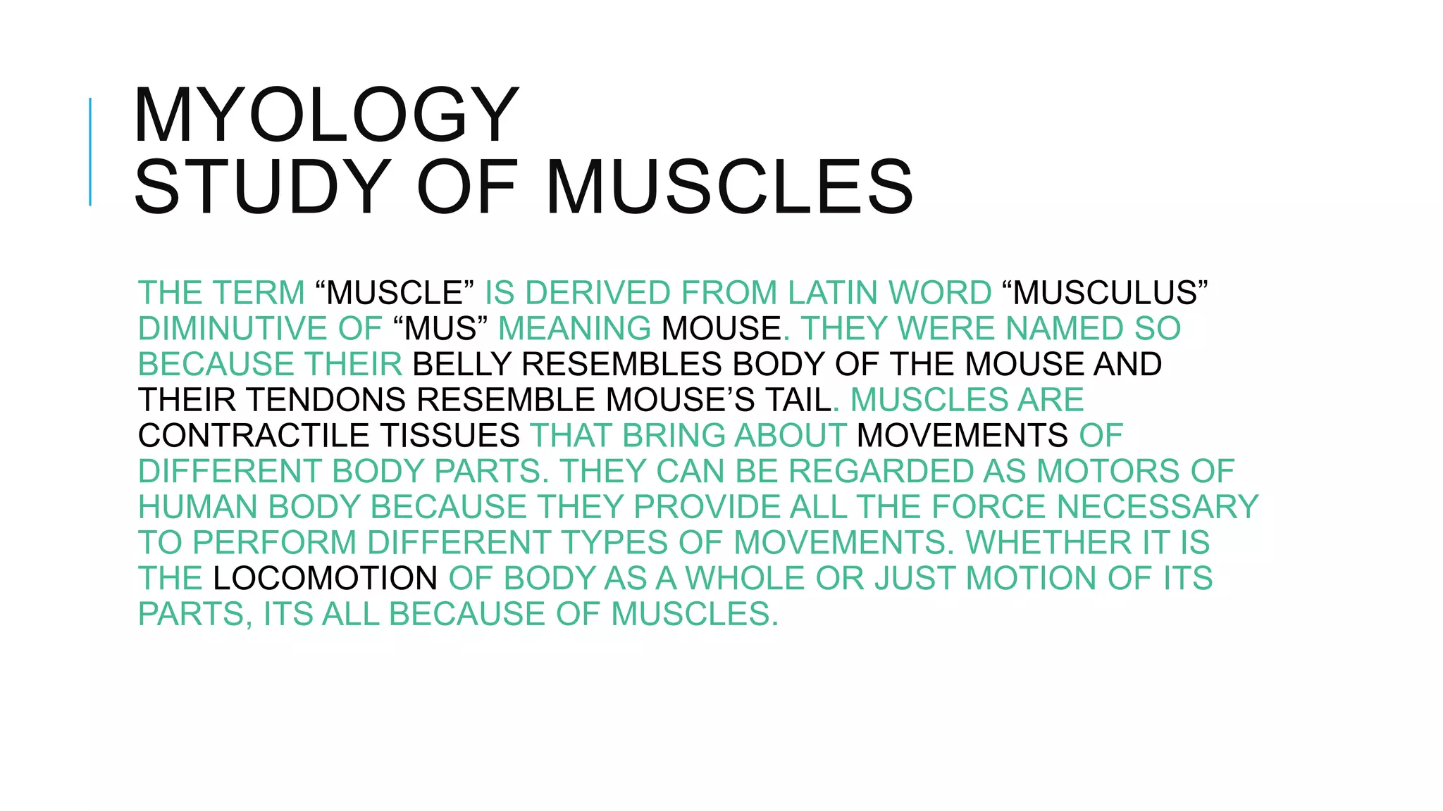 Gross anatomy muscles | PPTX