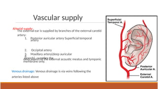 GROSS ANATOMY OF EAR along with clinicals | PPTX