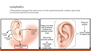 GROSS ANATOMY OF EAR along with clinicals | PPTX