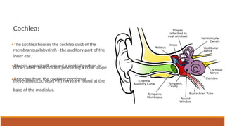 GROSS ANATOMY OF EAR along with clinicals | PPTX