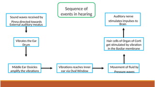 GROSS ANATOMY OF EAR along with clinicals | PPTX