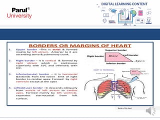 Gross anatomy of heart | PDF