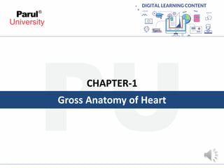 Gross anatomy of heart | PDF