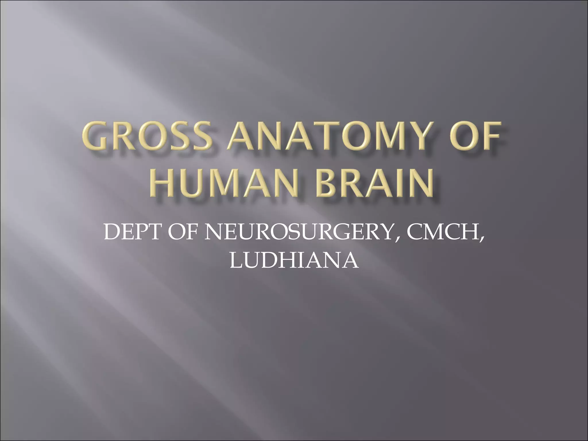 Gross anatomy of human brain | PPT
