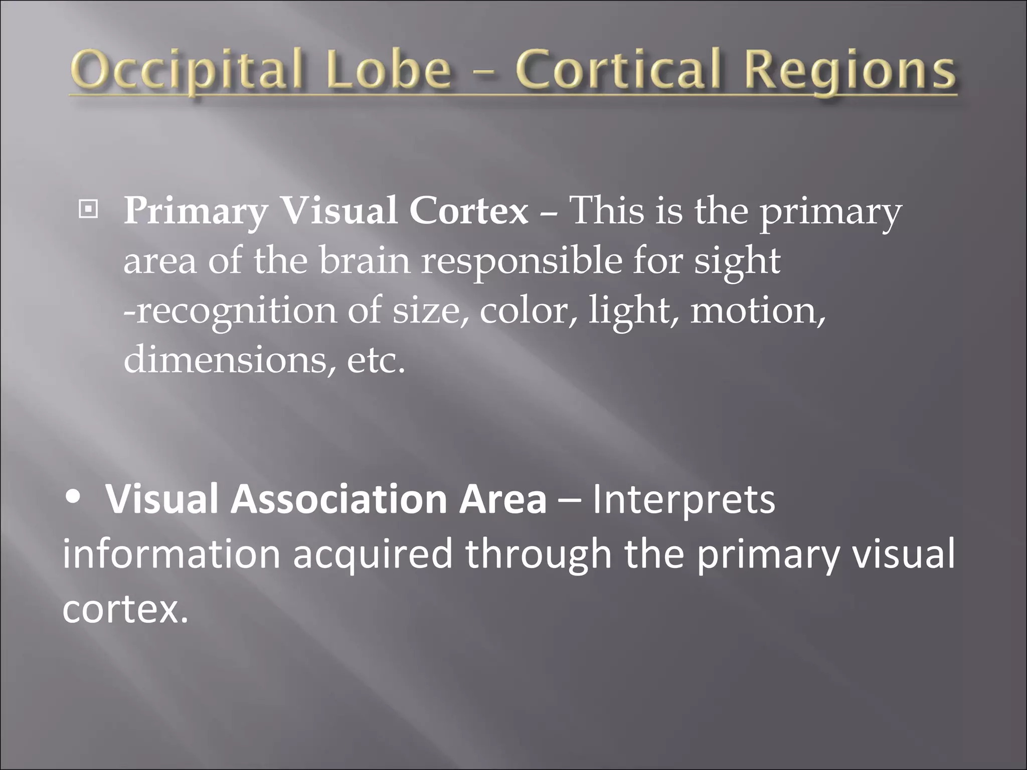 Gross anatomy of human brain | PPT