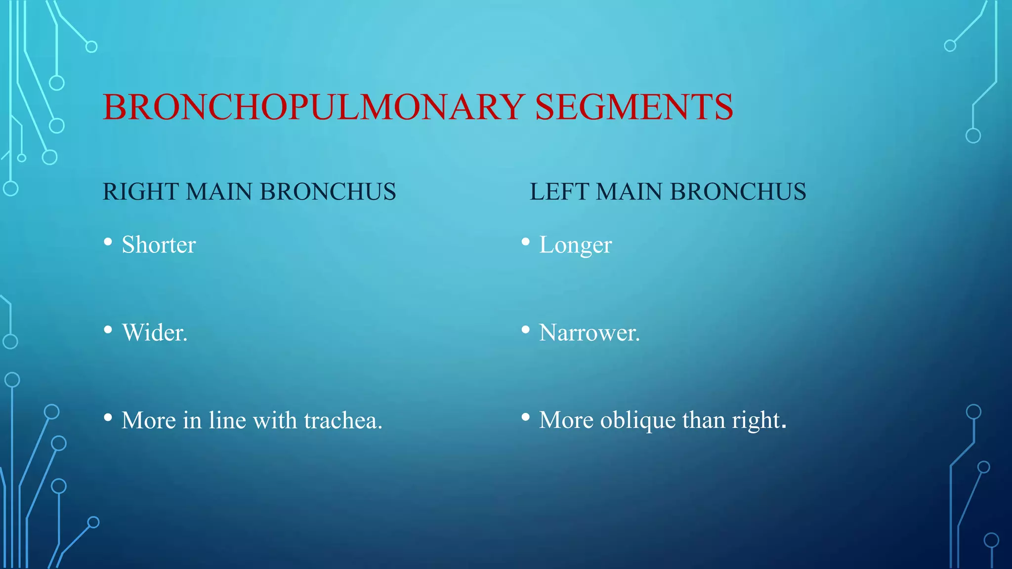 Gross anatomy of lungs | PPTX