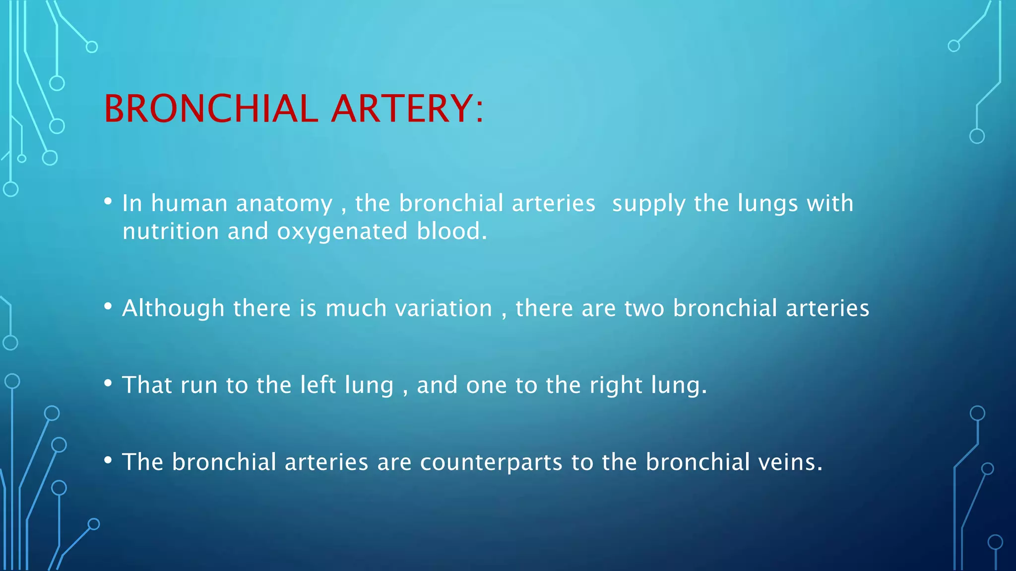 Gross anatomy of lungs | PPTX
