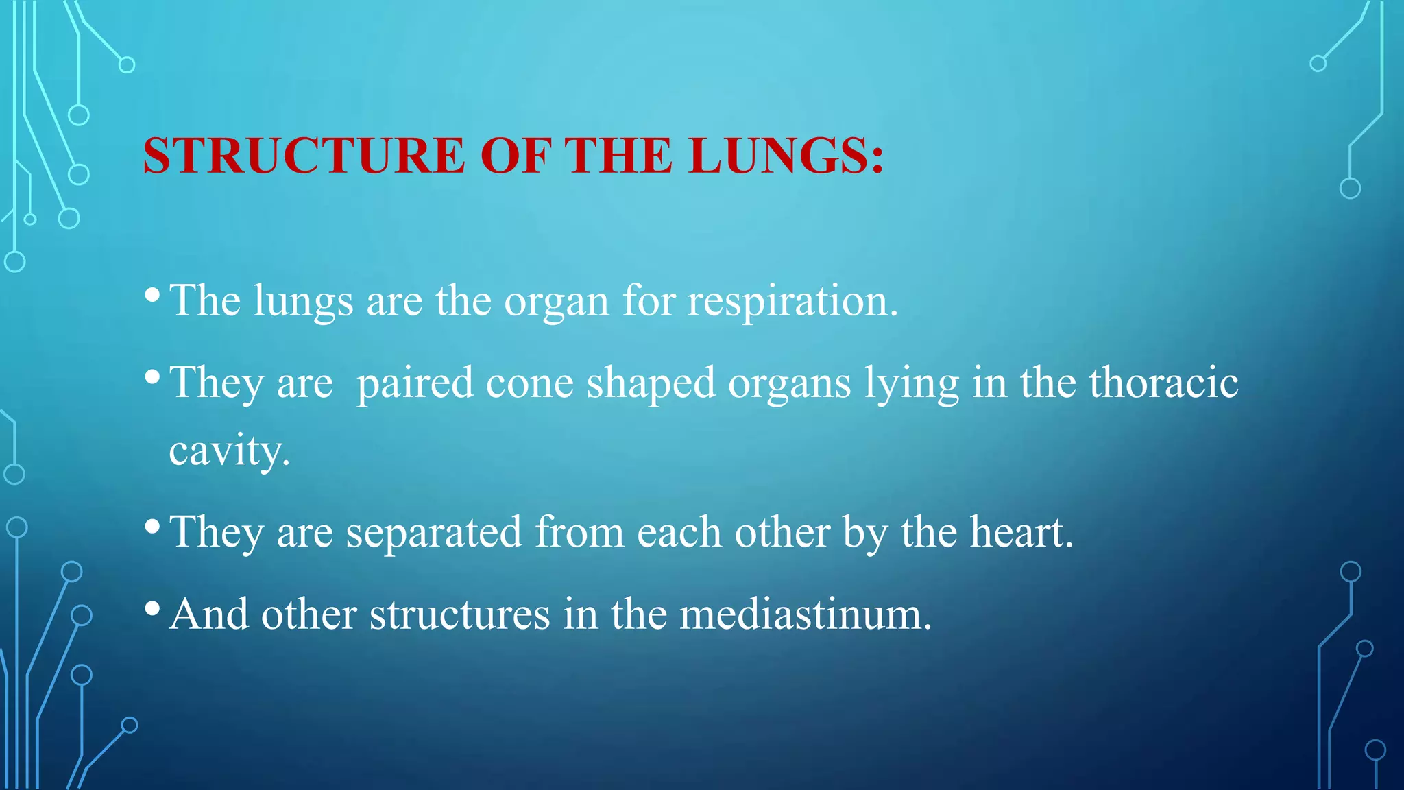 Gross anatomy of lungs | PPTX