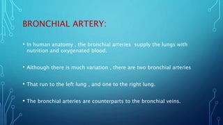 Gross anatomy of lungs | PPTX