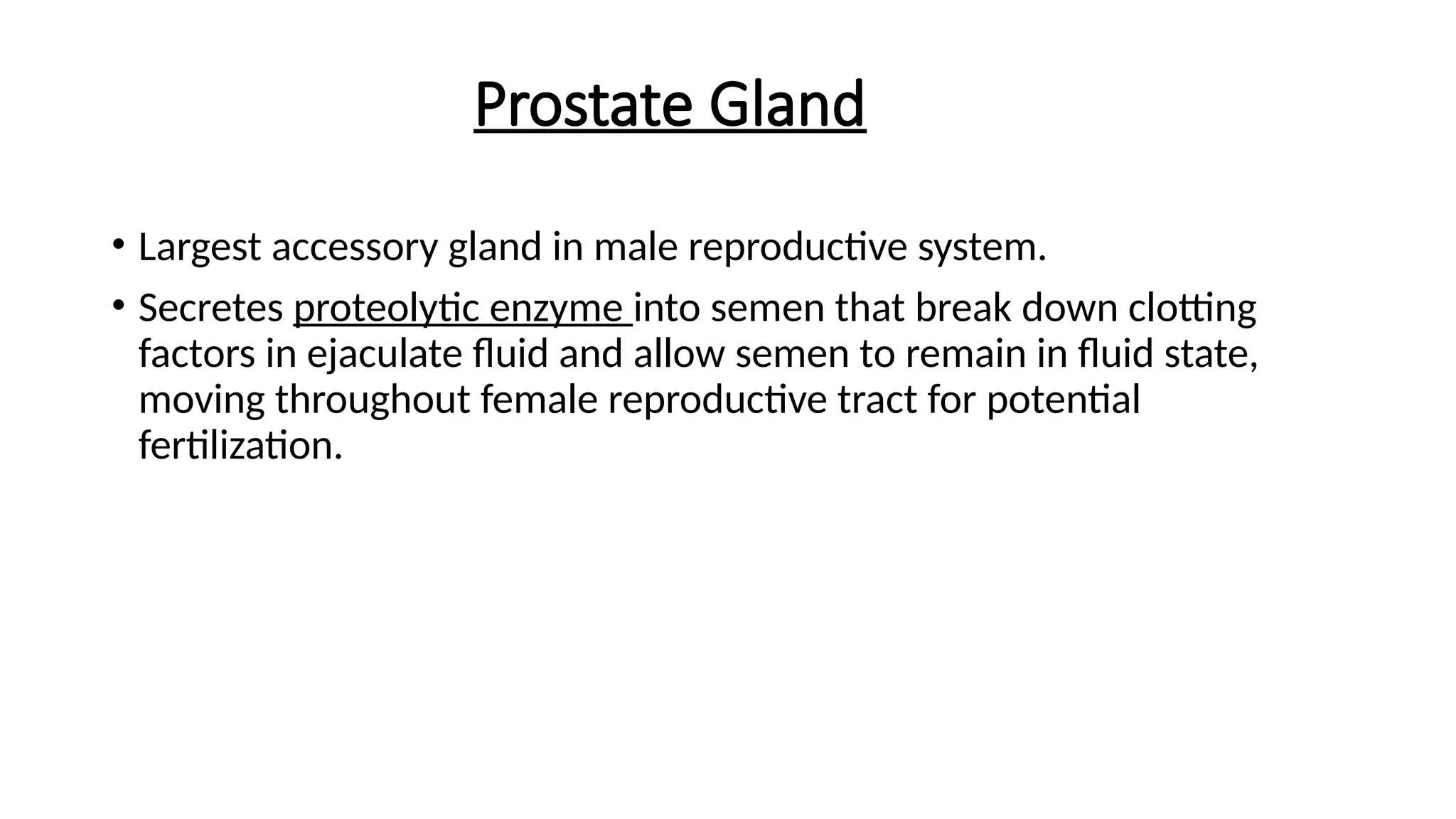 GROSS ANATOMY OF PROSTATE GLAND WITH CLINICALS (1).pptx