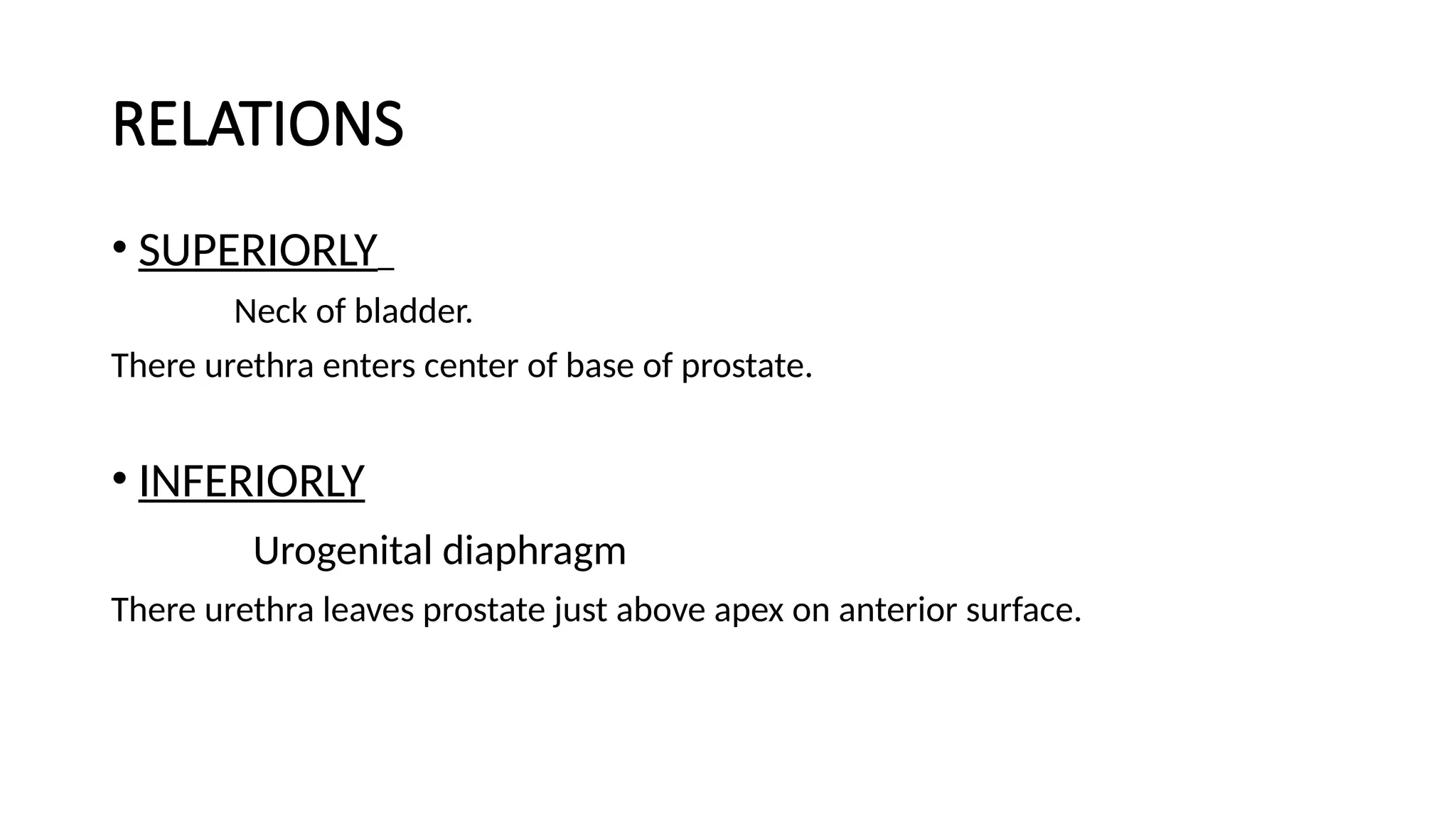 GROSS ANATOMY OF PROSTATE GLAND WITH CLINICALS (1).pptx