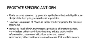 GROSS ANATOMY OF PROSTATE GLAND WITH CLINICALS (1).pptx