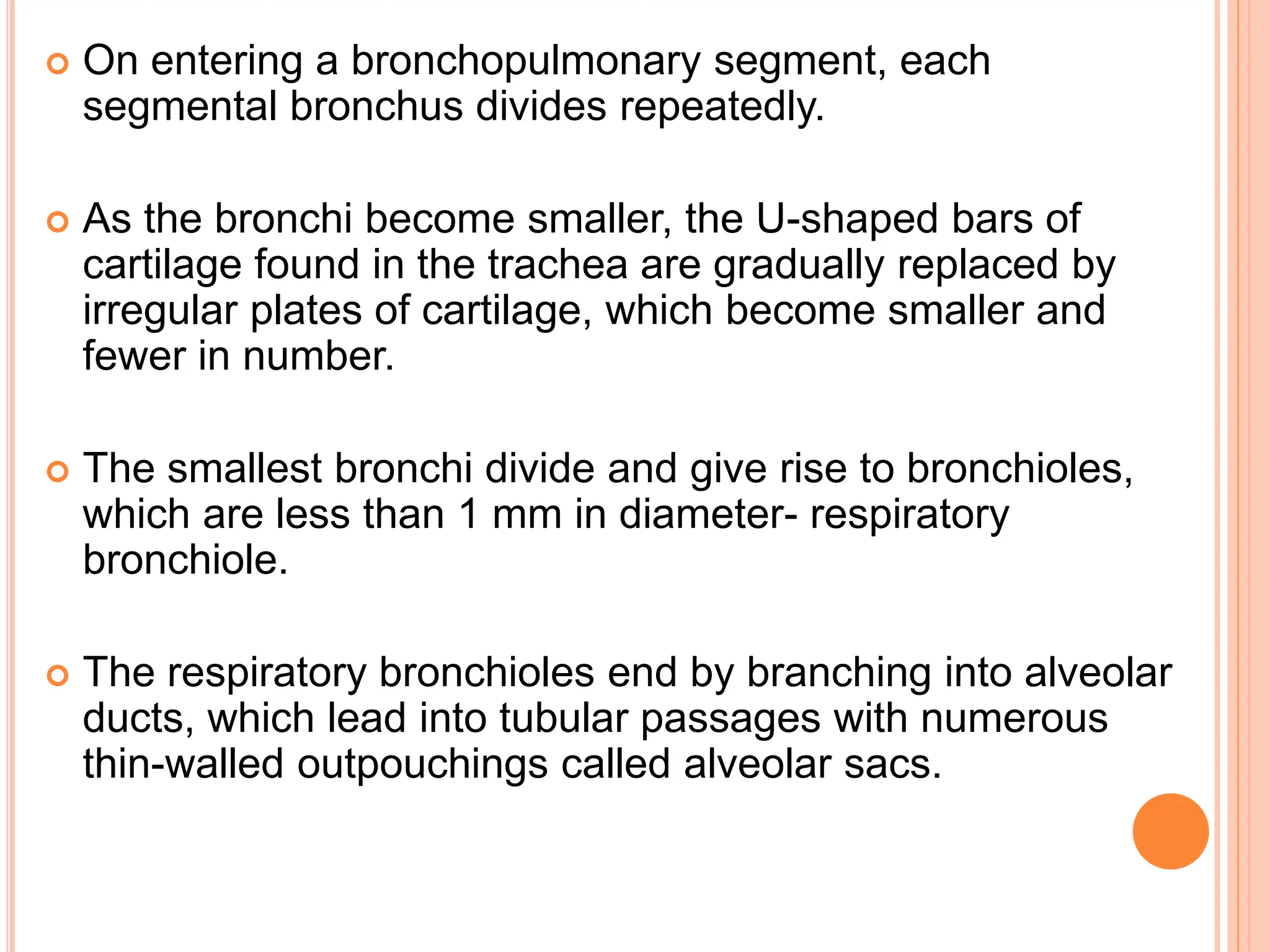 gross anatomy of resp. system.pptx