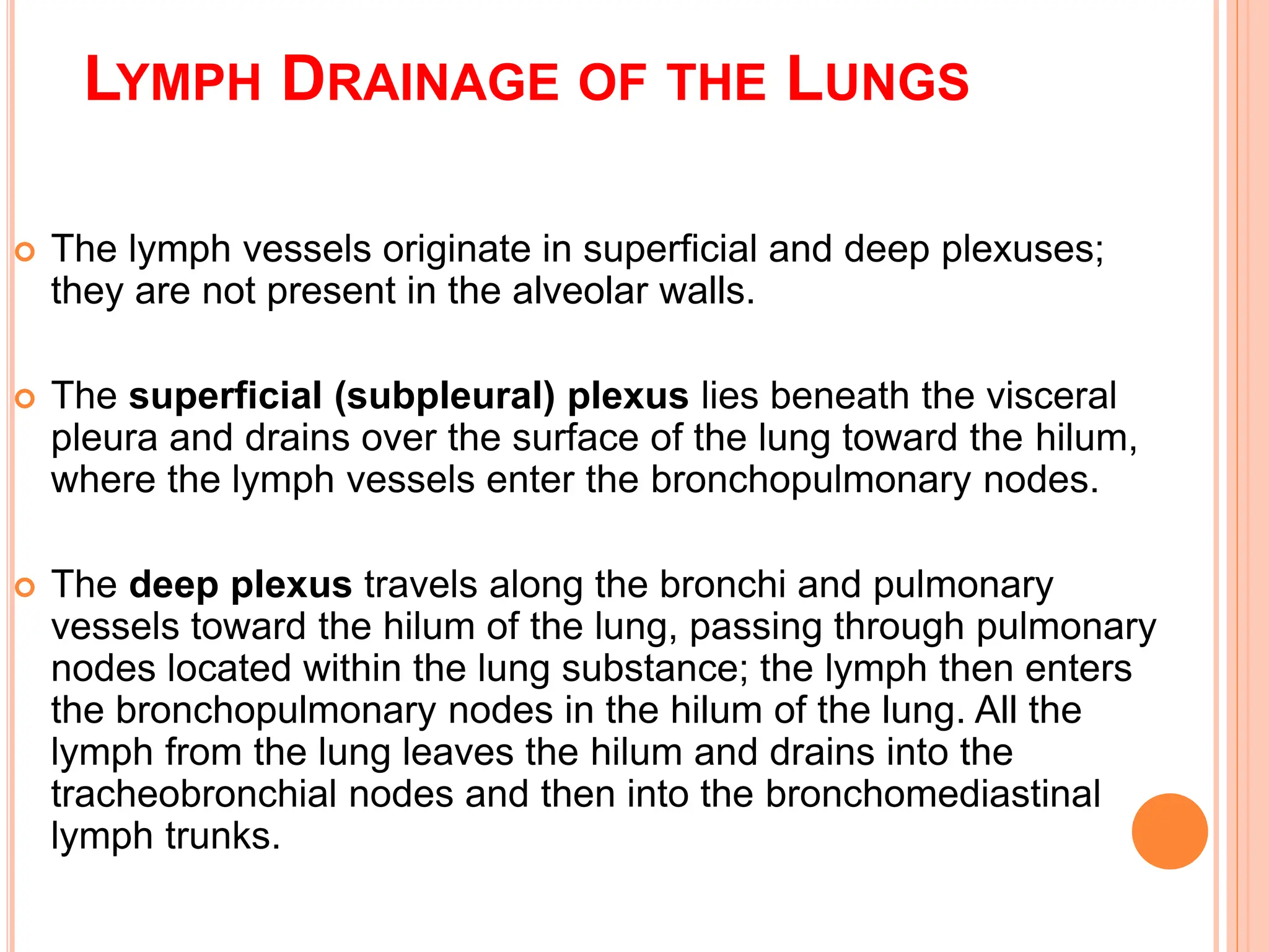 gross anatomy of resp. system.pptx