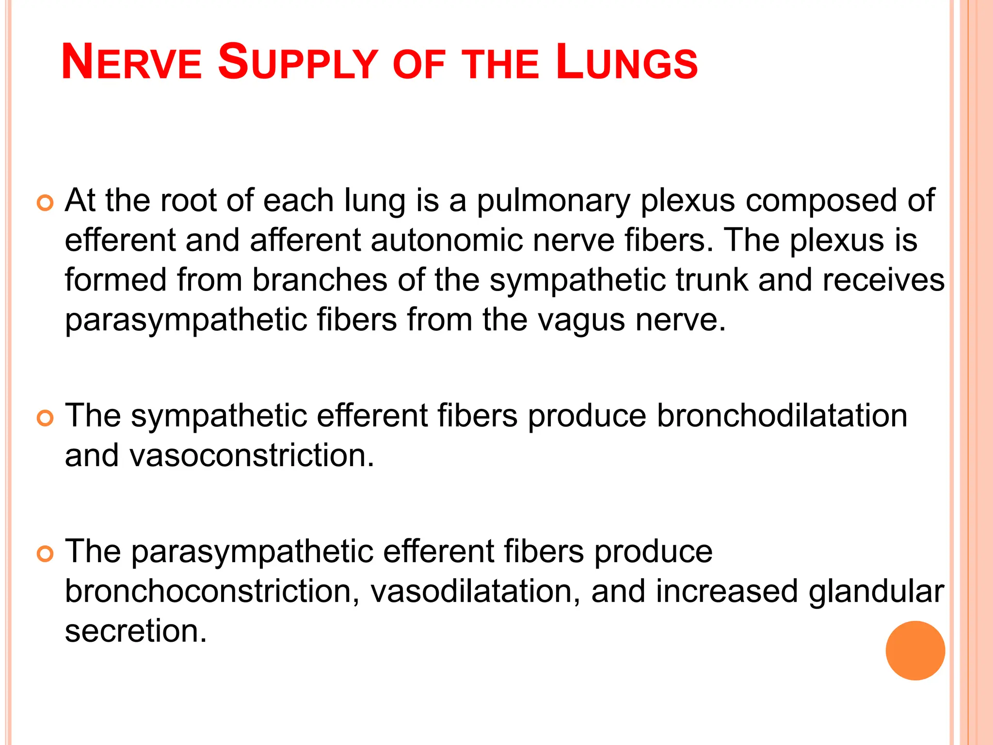 gross anatomy of resp. system.pptx