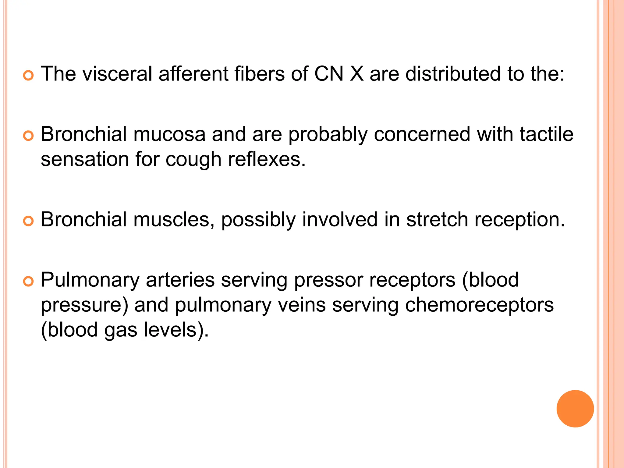 gross anatomy of resp. system.pptx