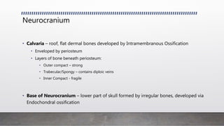 Gross anatomy of skull and facial bones | PPTX
