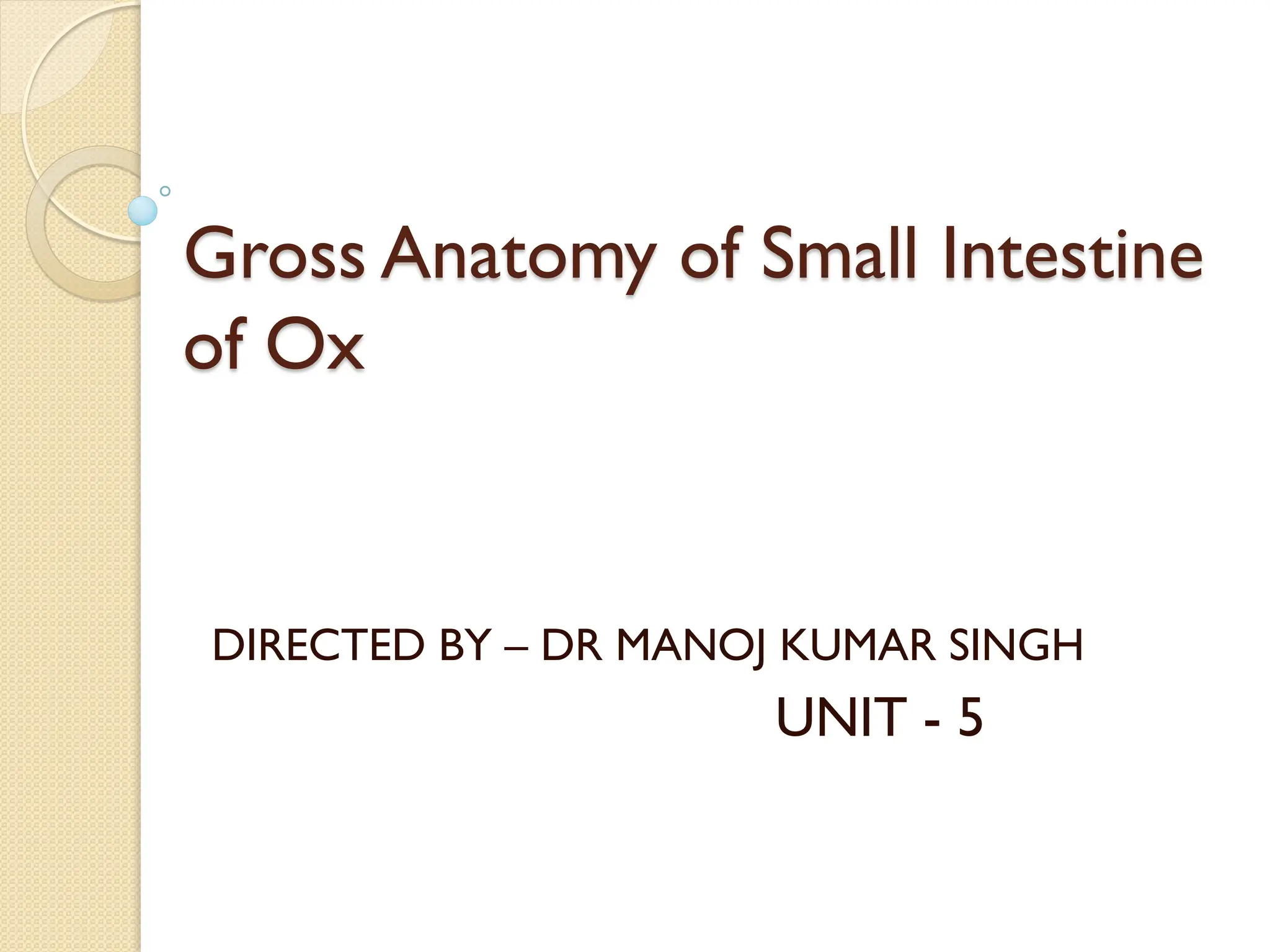Gross_anatomy_of_small_intestine_of_ox.pdf
