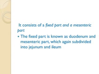 Gross_anatomy_of_small_intestine_of_ox.pdf