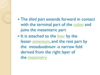 Gross_anatomy_of_small_intestine_of_ox.pdf