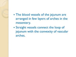 Gross_anatomy_of_small_intestine_of_ox.pdf
