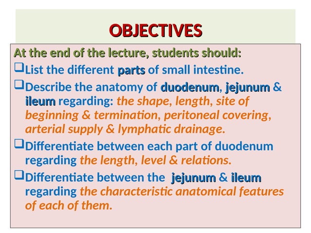 GROSS ANATOMY OF THE DUODENUM FOR MEDICAL STUDENTS.ppt