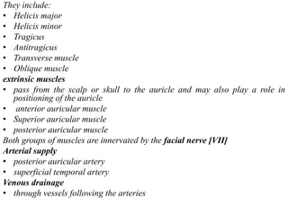Gross anatomy of the ‘ear’ | PPTX