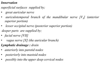 Gross anatomy of the ‘ear’ | PPTX