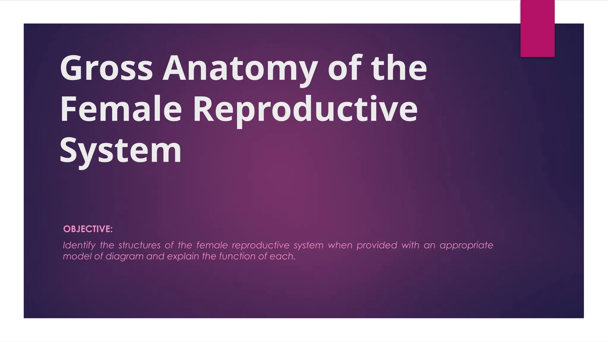 Gross Anatomy of the Female Reproductive System.pptx | Pregnancy ...