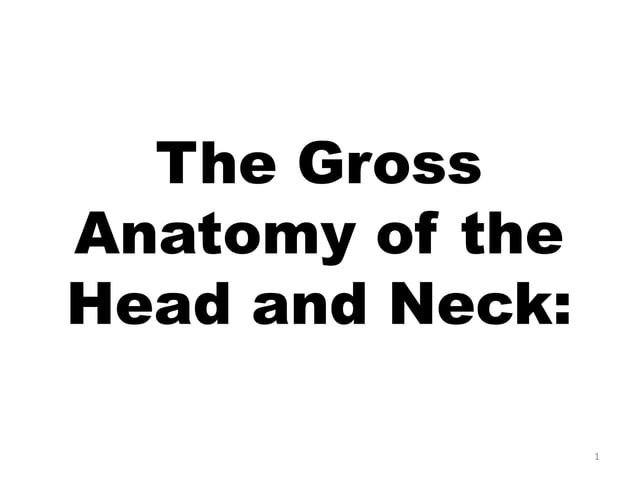 Gross anatomy of the head and neck | PPTX | Death, Injury, or Military ...