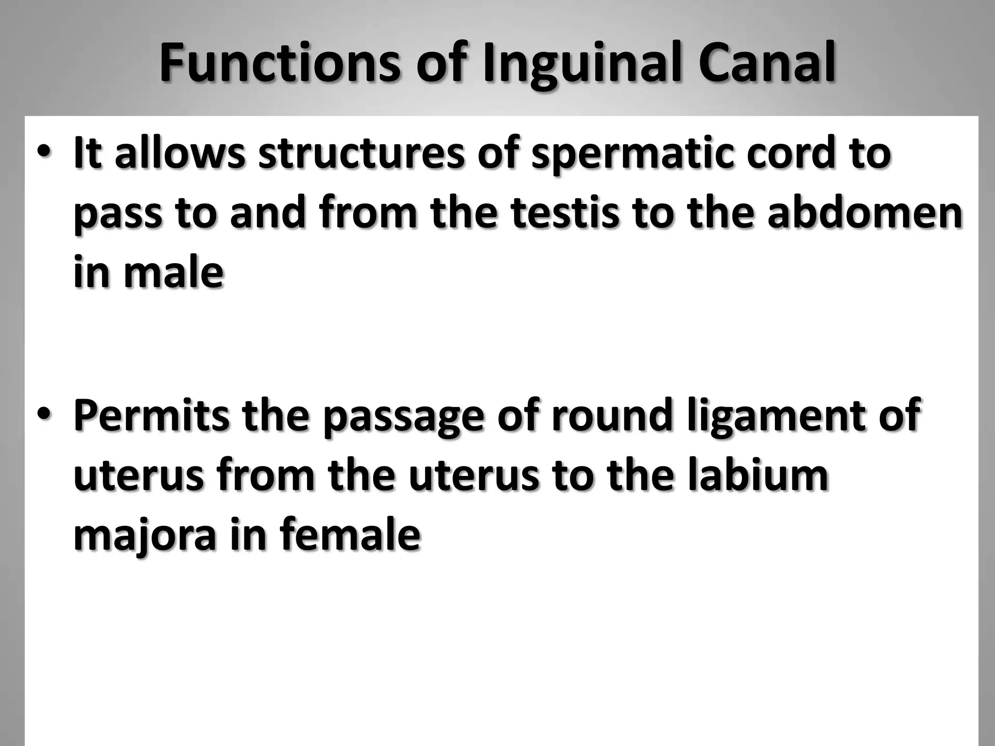 GROSS ANATOMY OF THE INGUINAL CANAL.ppt