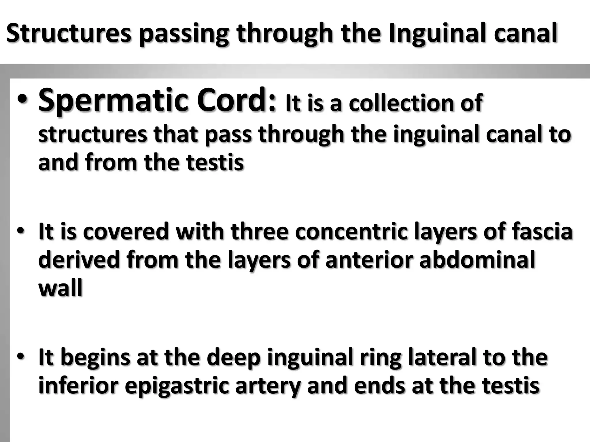 GROSS ANATOMY OF THE INGUINAL CANAL.ppt