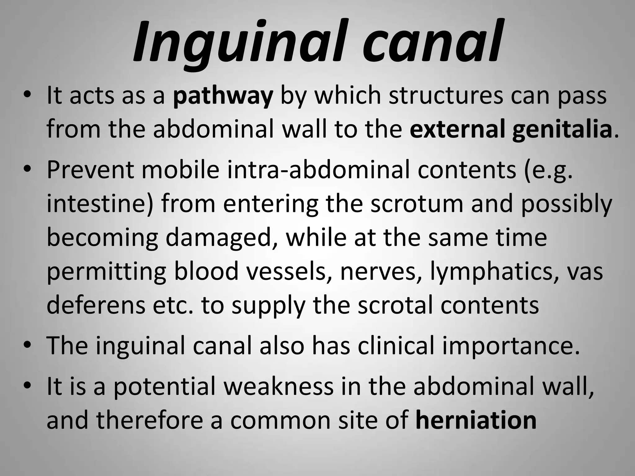 GROSS ANATOMY OF THE INGUINAL CANAL.ppt