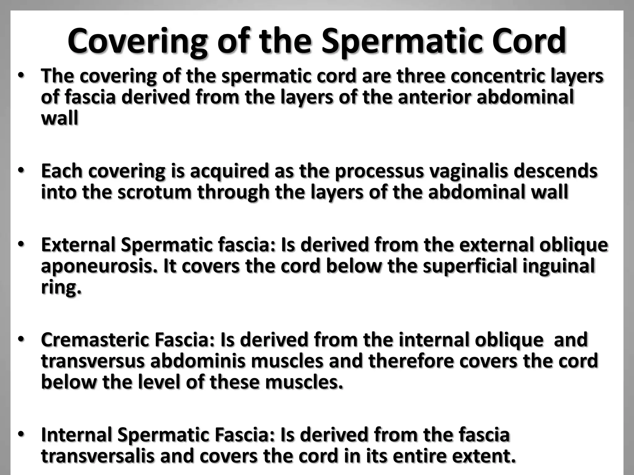 GROSS ANATOMY OF THE INGUINAL CANAL.ppt