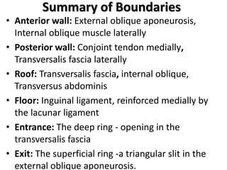GROSS ANATOMY OF THE INGUINAL CANAL.ppt