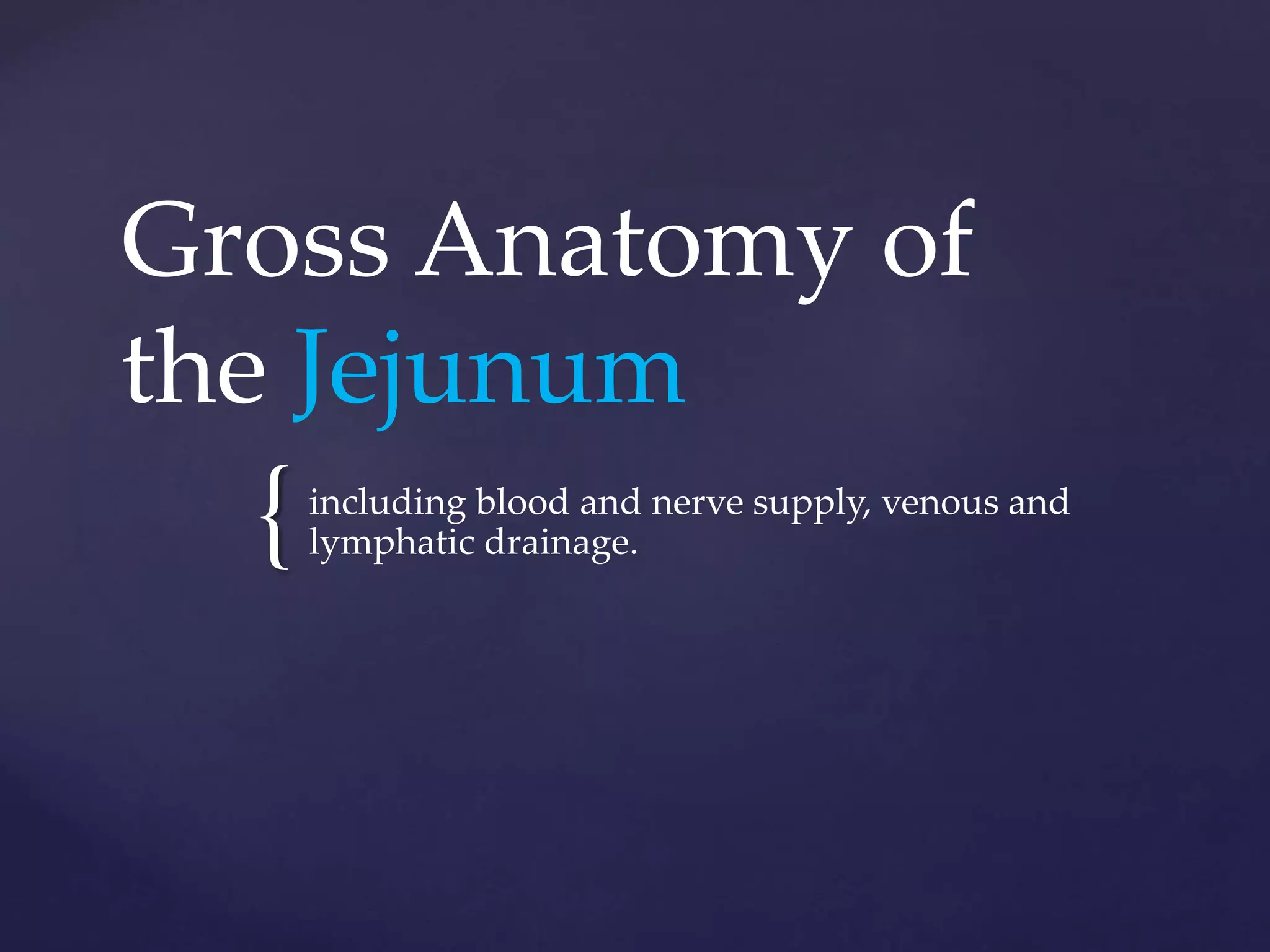 Gross anatomy of the jejunum , including blood and nerve supply, venous ...