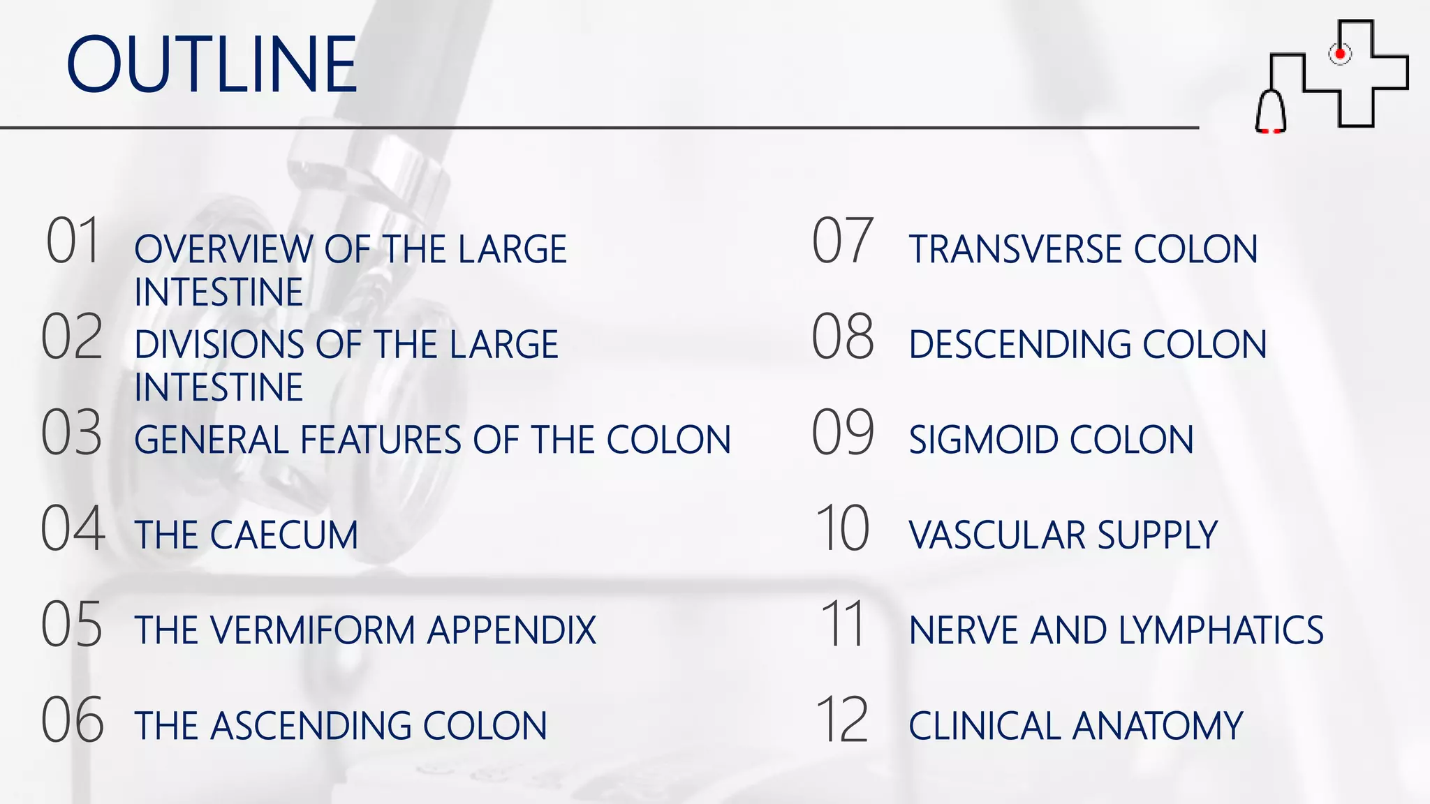 A seminar presentation on gross anatomy of the large intestine | PPTX