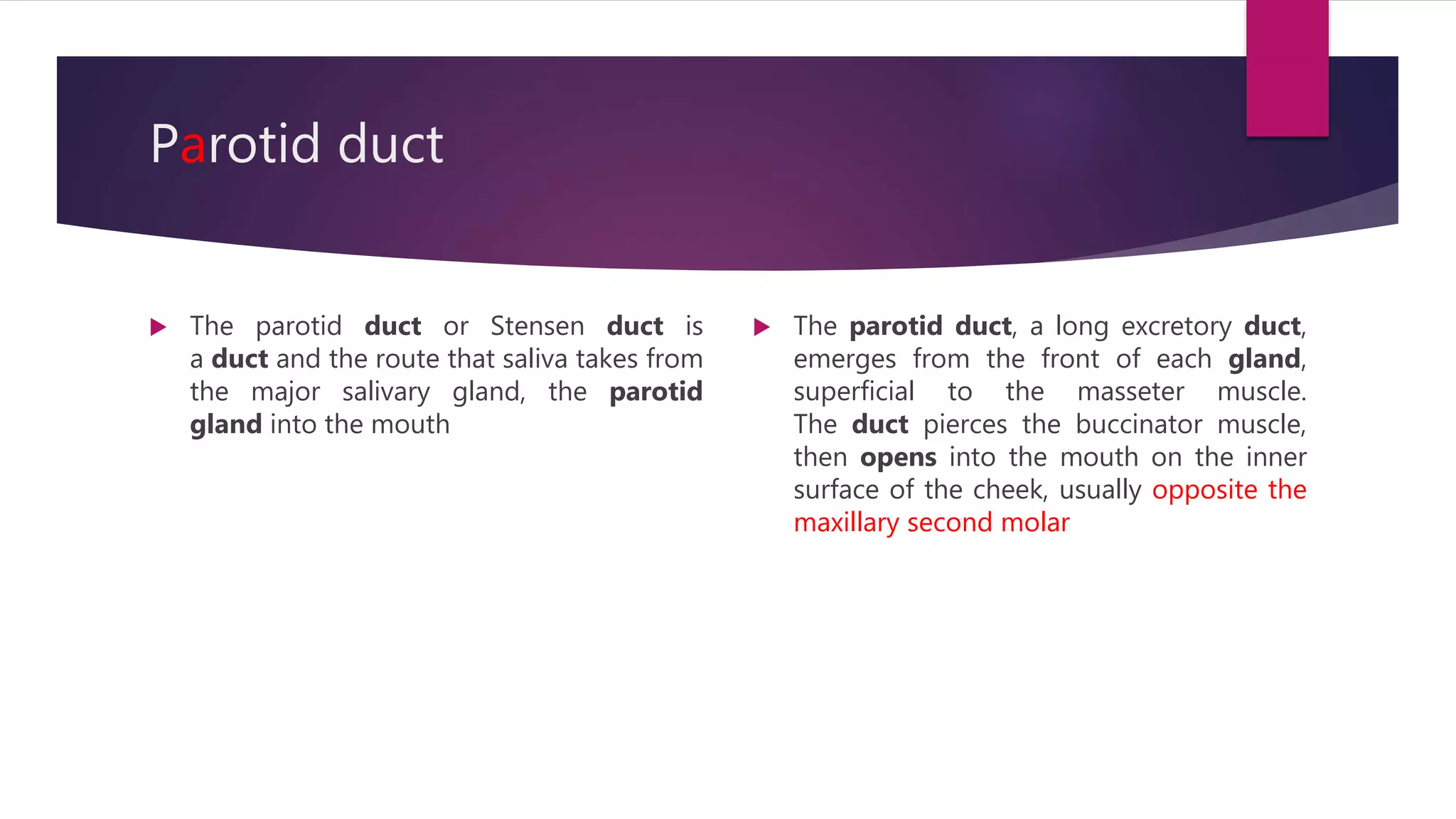 Gross anatomy of the parotid gland part 1 | PPTX