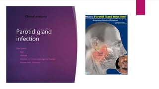 Gross anatomy of the parotid gland part 1 | PPTX