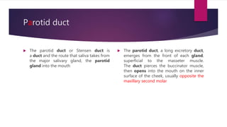 Gross anatomy of the parotid gland part 1 | PPTX
