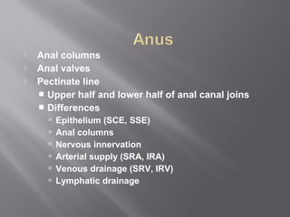 Gross anatomy of the reproductive system | PPT