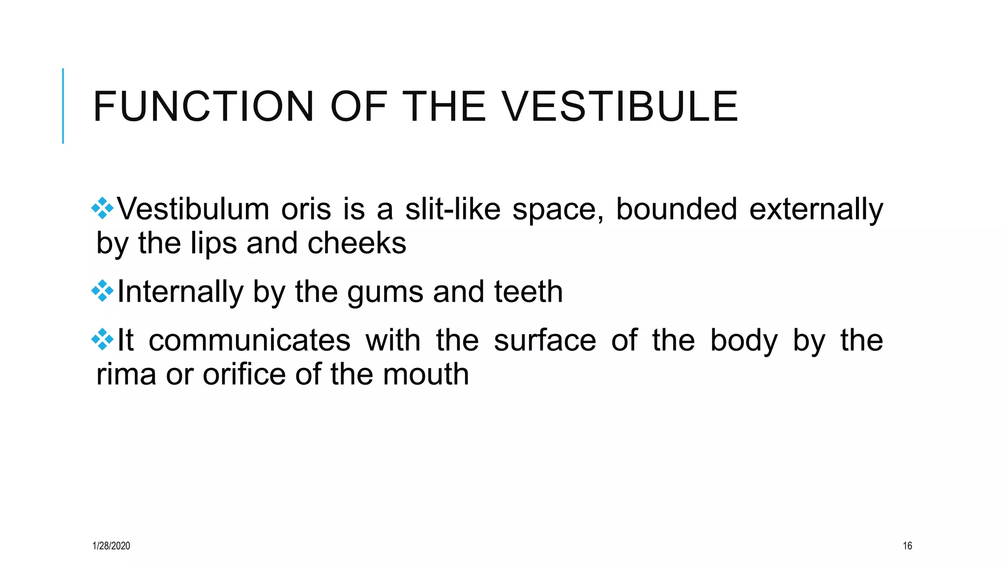 Gross anatomy of the oral cavity | PPTX