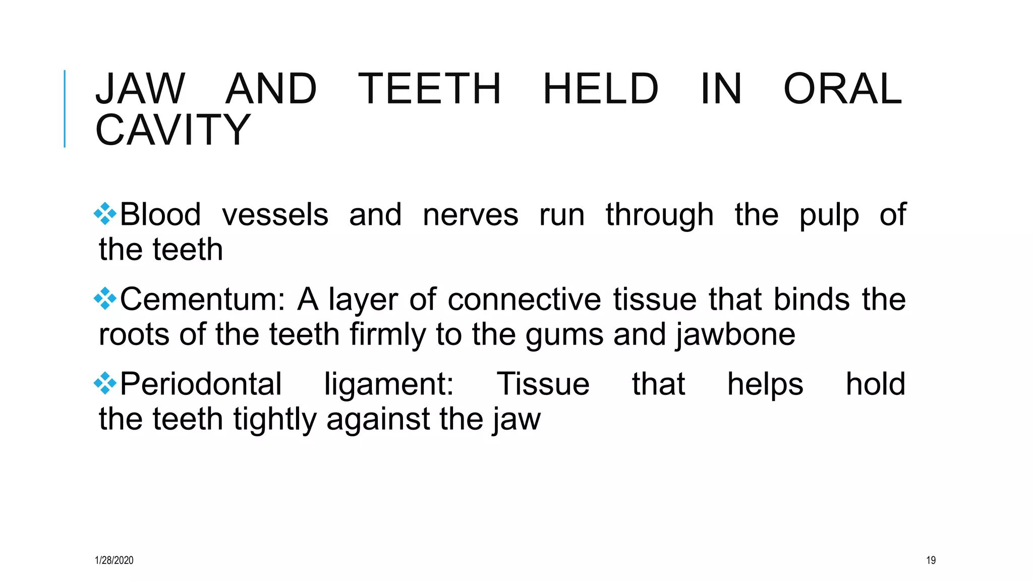 Gross anatomy of the oral cavity | PPTX